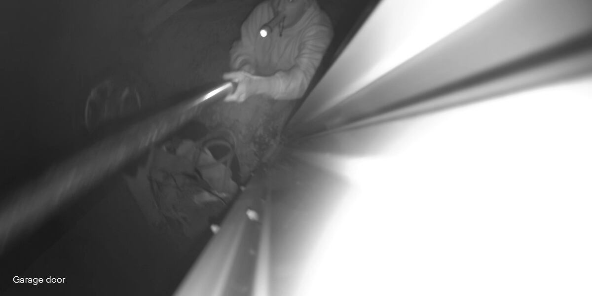 MPD needs help identifying burglary suspect MPD needs help identifying burglary suspect