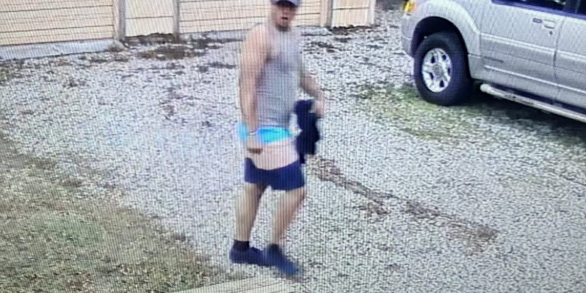 MCSO: Suspected burglar arrested in Mississippi MCSO: Suspected burglar arrested in Mississippi